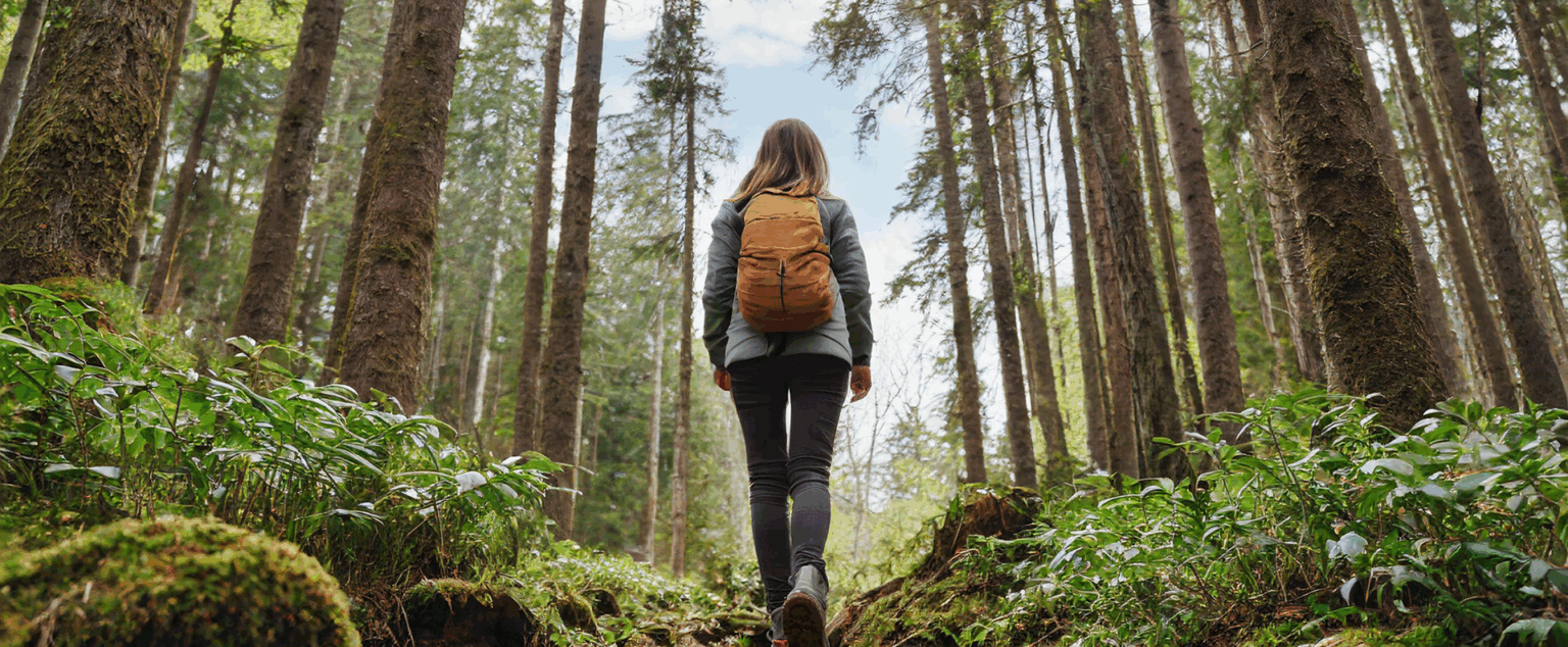 Termine - Wald und Wandern